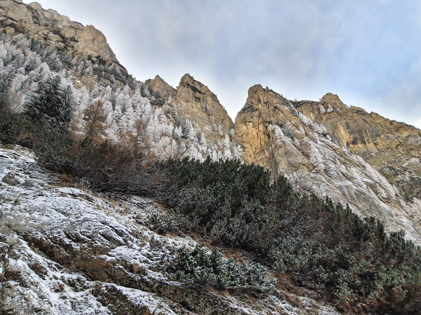 Valea lui Zangur în prag de iarnă - Back to Nature